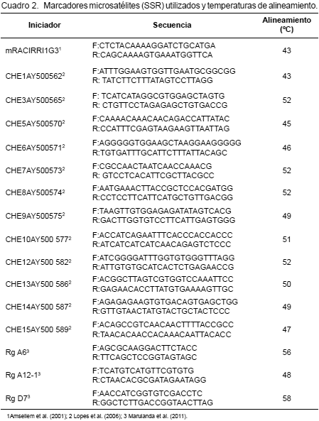 Caracterización molecular de genotipos de Rubís mediante marcadores ...