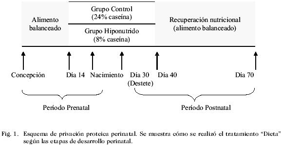 Estudio multivariado del test de bebida en campo abierto con ratas ...