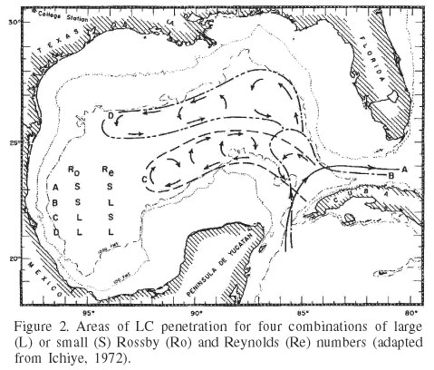 Loop current dynamics in laboratory experiments
