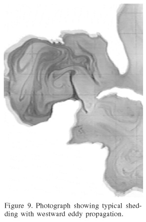 Loop current dynamics in laboratory experiments