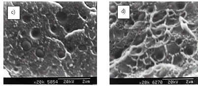Figure 3: SEM micrographs of the PS/PP blend without compatibilizer ...