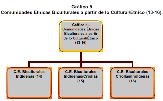 Leer la identidad venezolana a la luz de las comunidades étnicas ...