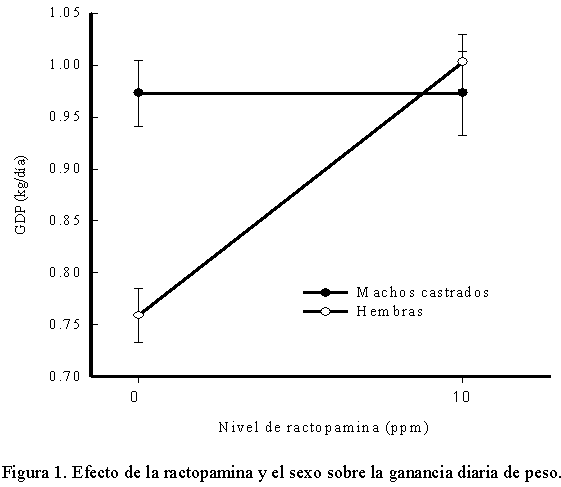 Efectos de la ractopamina y el nivel de lisina sobre la respuesta ...