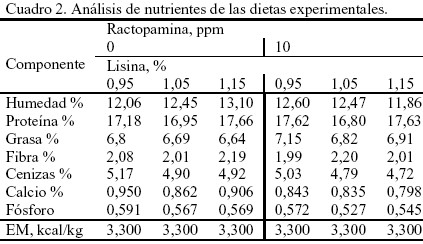 Efectos de la ractopamina y lisina sobre la deposición de grasa en ...