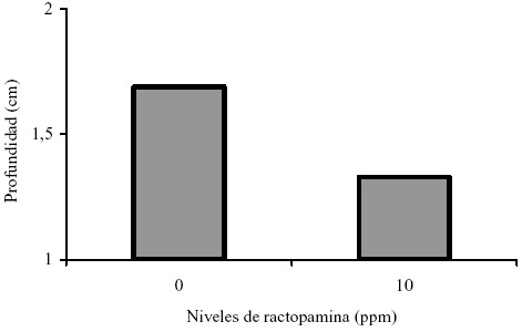 Efectos de la ractopamina y lisina sobre la deposición de grasa en ...