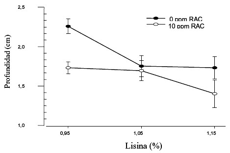 Efectos de la ractopamina y lisina sobre la deposición de grasa en ...