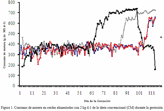 Comportamiento productivo en cerdas gestantes suplementadas con morera ...