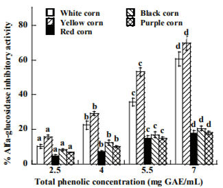 In vitro antioxidant and bioactive properties of corn (Zea mays L.)