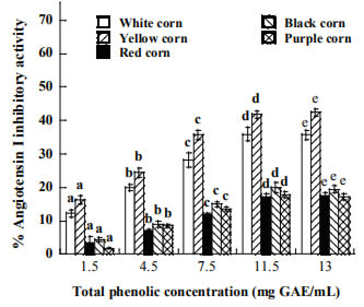 In vitro antioxidant and bioactive properties of corn (Zea mays L.)