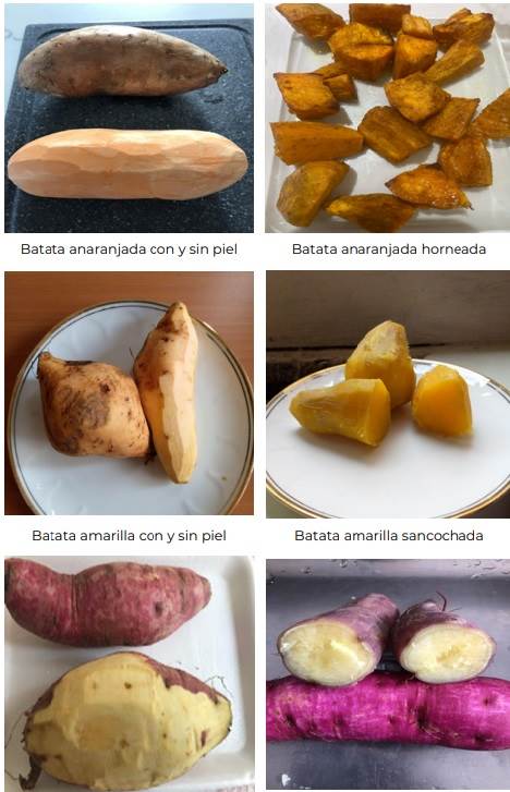 Diferencia Entre Batata Y ñame Cómo Sembrar Ñame: Guía Completa