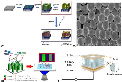 Advances in zinc oxide nanobiosensors for medical diagnostics ...