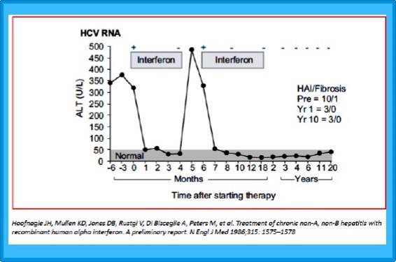 Hepatitis C: Del Descubrimiento a la Curación. A Propósito del Premio ...