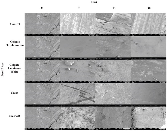 Efecto del uso de dentífricos aclaradores sobre la estructura y ...