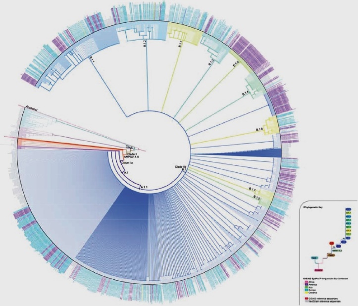 Web-tools for the genomic analysis of the 2022 Monkeypox virus global ...