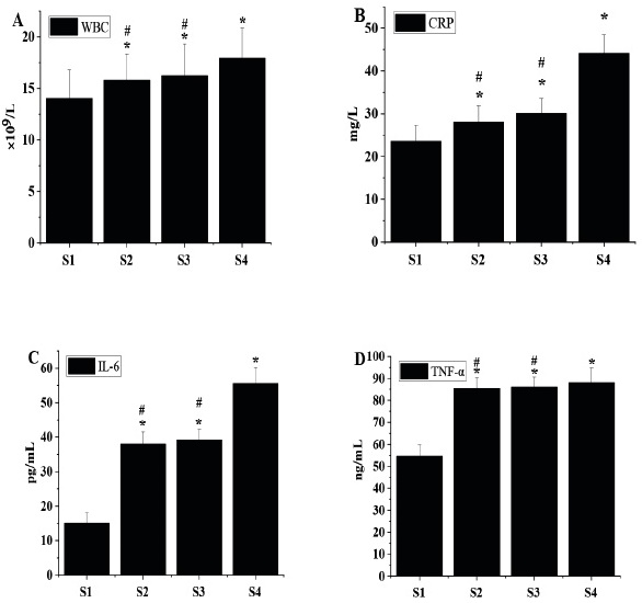 Diagnostic value of abdominal ultrasound in patients with acute ...