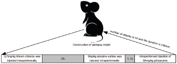 Beneficial effects of gentiopicrin inhibiting experimental epilepsy in ...
