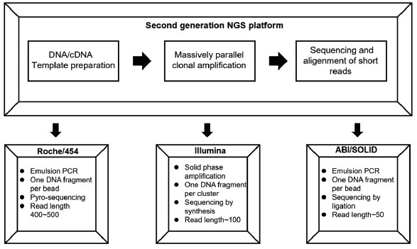 High throughput sequencing technology and its clinical application in ...