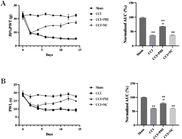 Phillygenin reduced neuropathic pain by inhibiting the rats’ TLR4/MyD88 ...