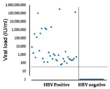Optimization of a real-time PCR assay for hepatitis B virus load ...