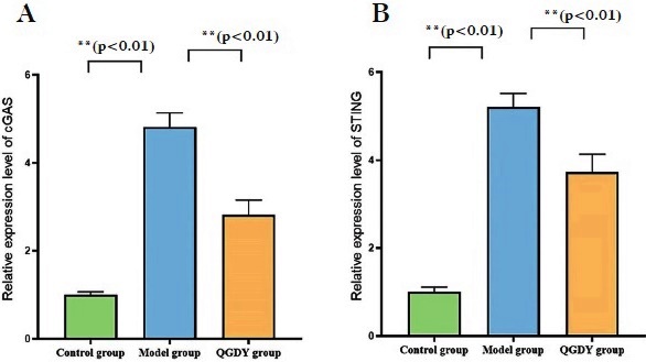 Experimental study on the regulatory effect of Qinggan Dongyin on T ...